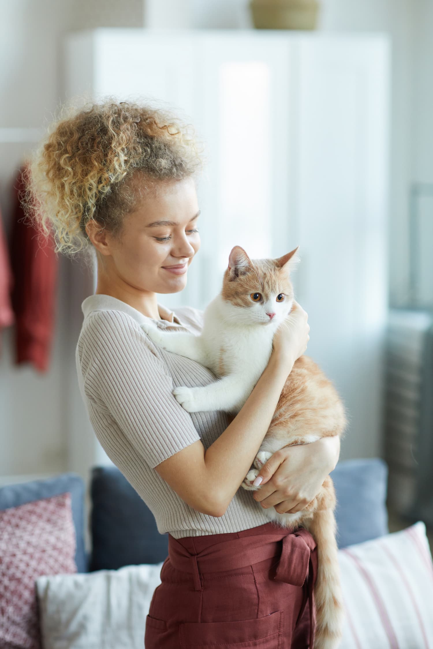 Exceptional Veterinary Hospital Care for Your Pets in Minneapolis ...